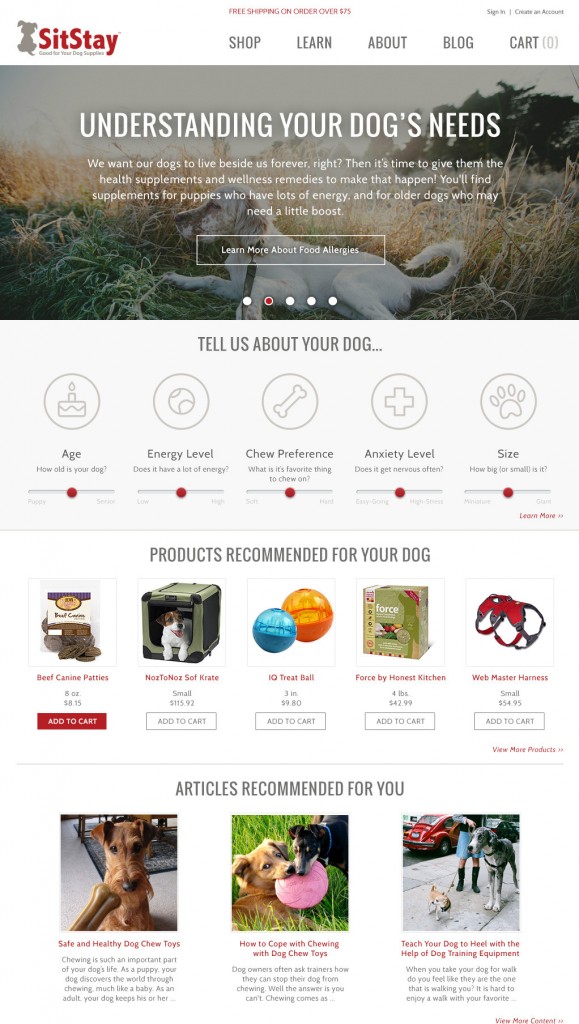 Why SitStay, 19 years in, went through an accelerator